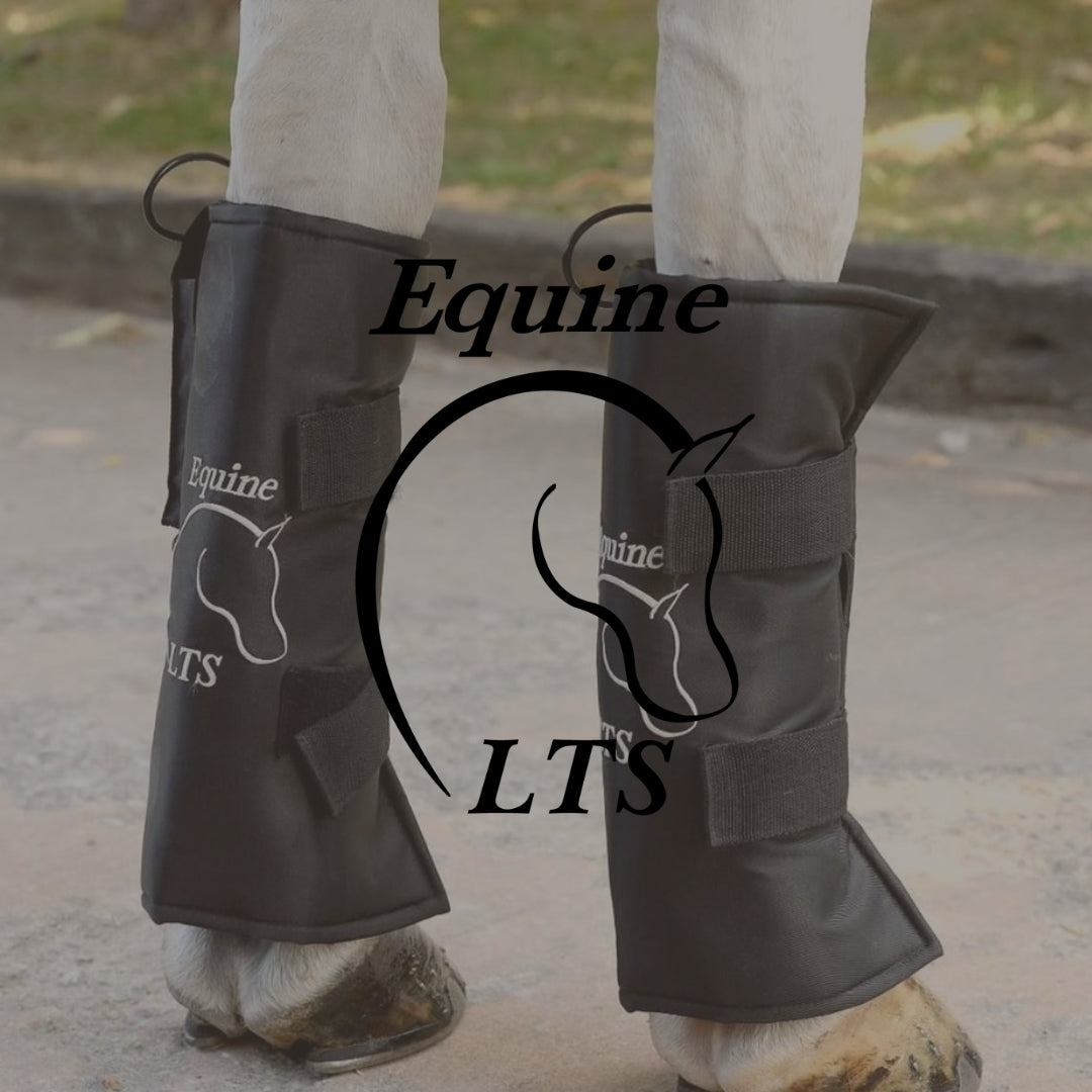 Equine LTS - animondo.dk